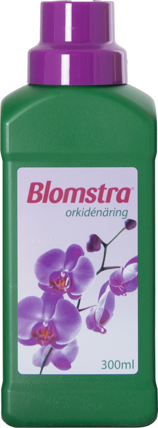 Blomstra - Glada växter lever längre!